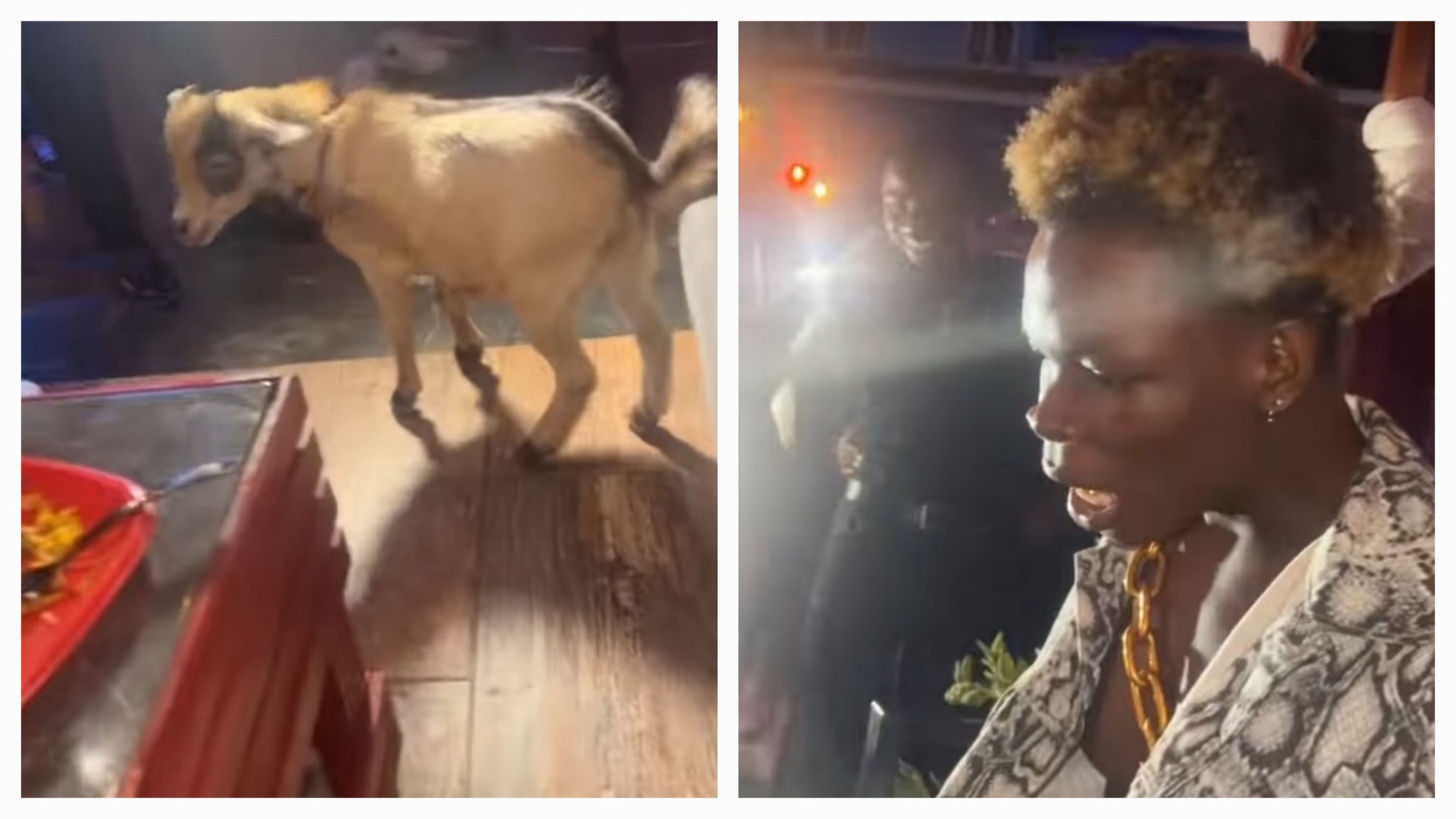 AY Poyoo Attends ZionFelix’s Birthday Party With A Goat (Video ...